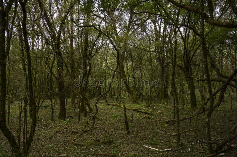 Scene of a Typical Latin American Stock Photo - Image of peaceful ...