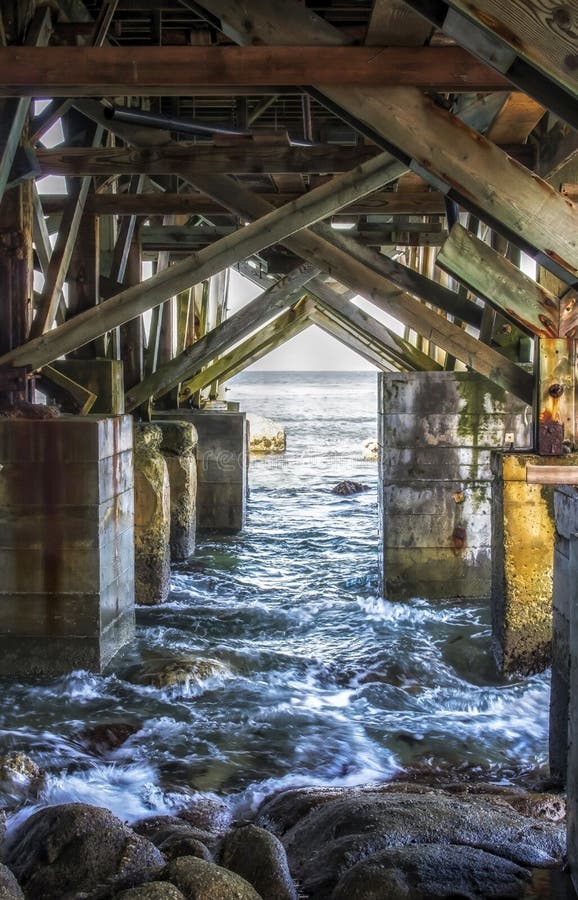 Texture Concrete Cracked Underwater Wall with Sea Urchin Stock Photo ...