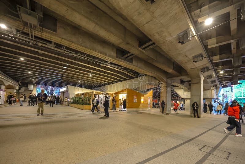 Scene Underneath Modern Architectural Bridge Structure Dec 7 2024 ...