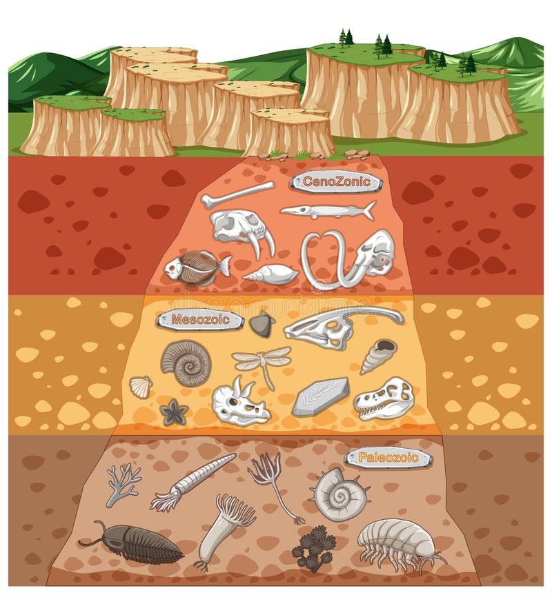 Scene with Various Animals Bones and Dinosaurs Fossils in Soil Layers ...