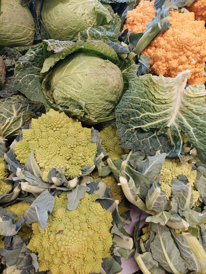 The Scene with Vegetables, Various Types of Cabbage Stock Photo - Image ...