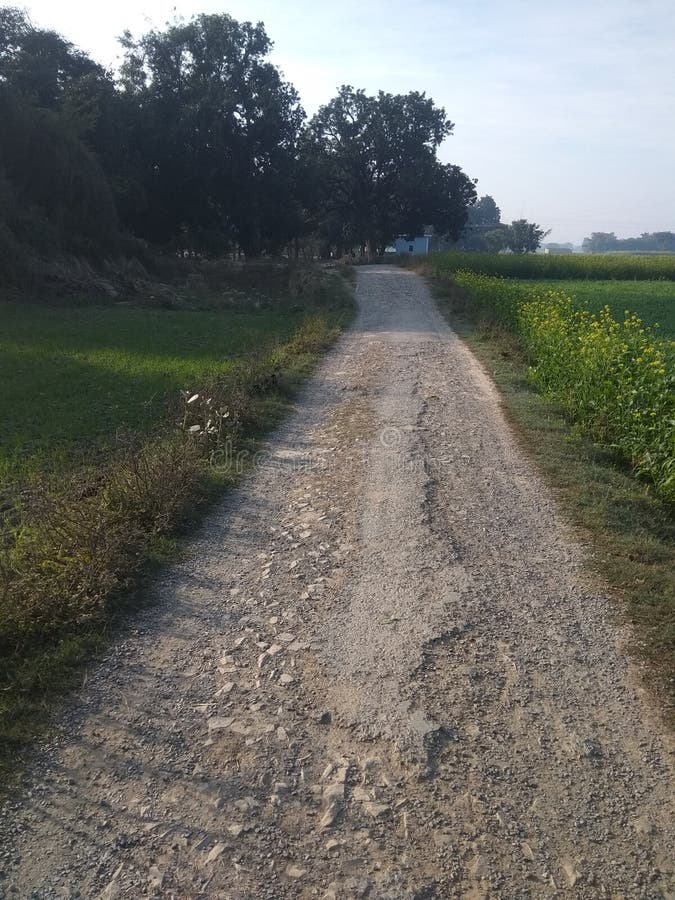 Scene of Vilage Street with Both Side Agriculture Stock Photo - Image ...
