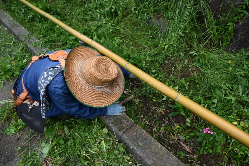 A Scene from Weed Cutting Work. Stock Photo - Image of motor ...