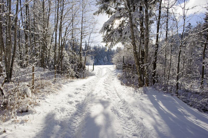 Scene at Winter with Snow and Ice on Small Road Stock Photo - Image of ...
