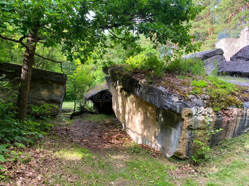 Scenery of an Ancient Cave Settlement in the Forest Stock Photo - Image ...