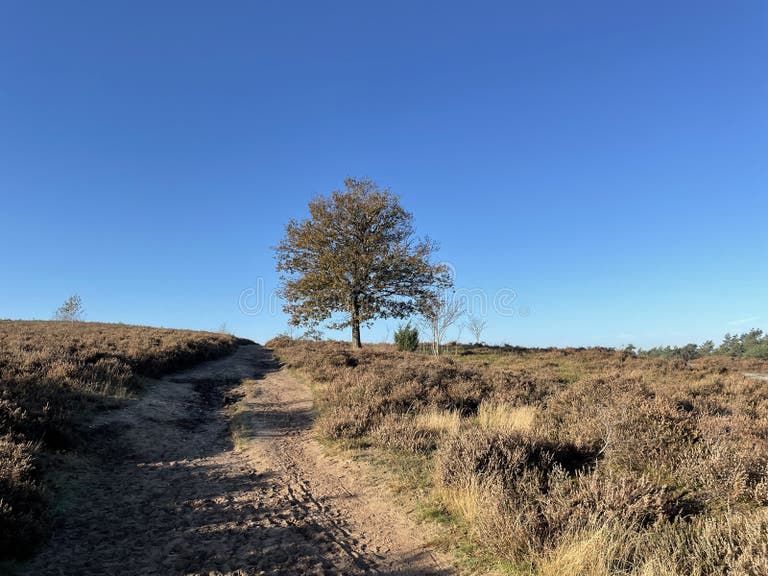 Scenery at the Archemerberg Stock Photo - Image of blue, autumn: 233553650