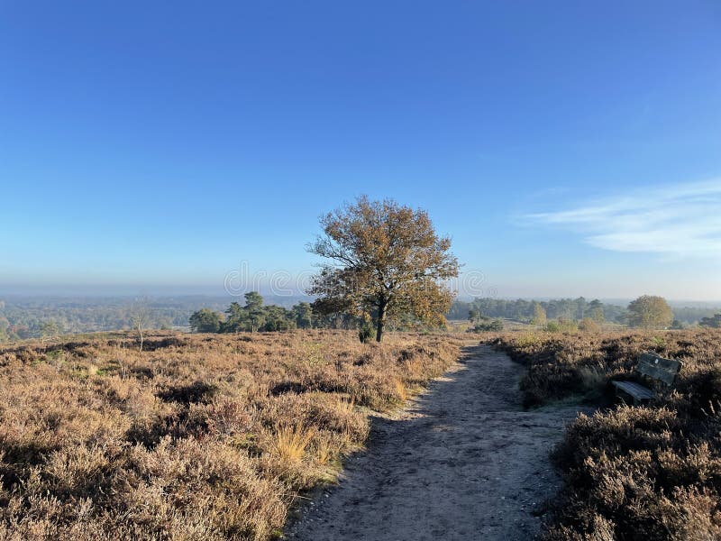 Scenery at the Archemerberg Stock Photo - Image of netherlands, sand ...
