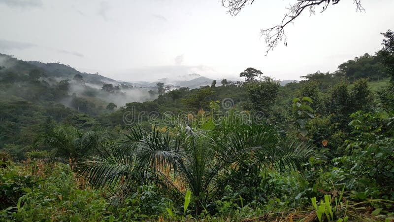 Scenery Around Mount Kloto in Togo Stock Photo - Image of scenery, hill ...