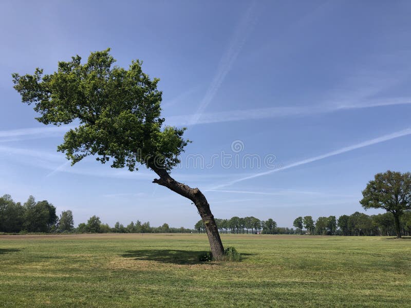 Scenery around Rekken stock photo. Image of landscape - 187256042