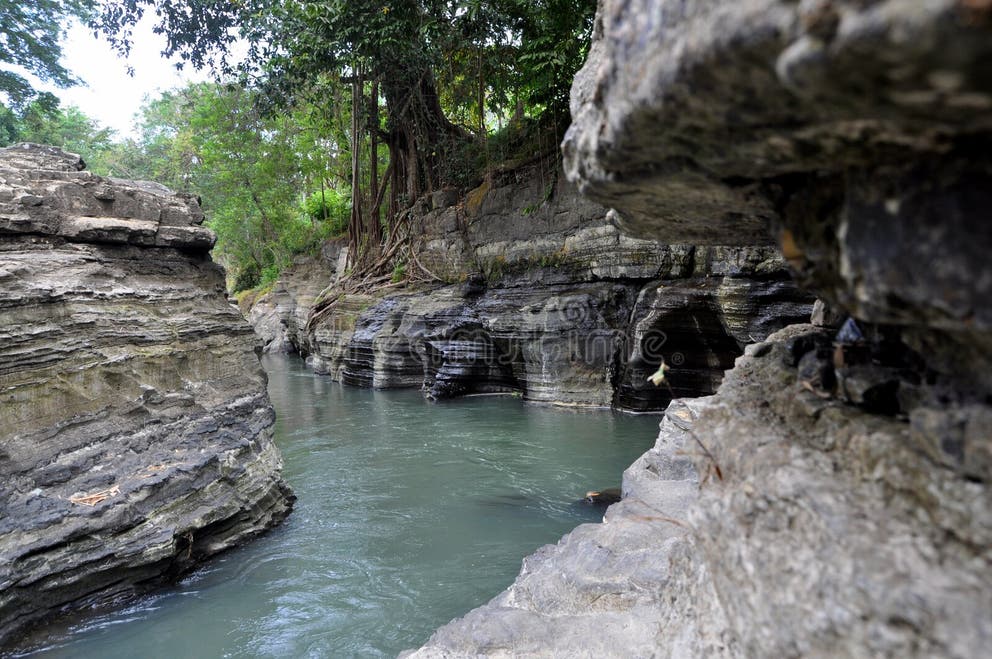 Exotic Stones and Old Trees Stock Image - Image of canyon, formation ...