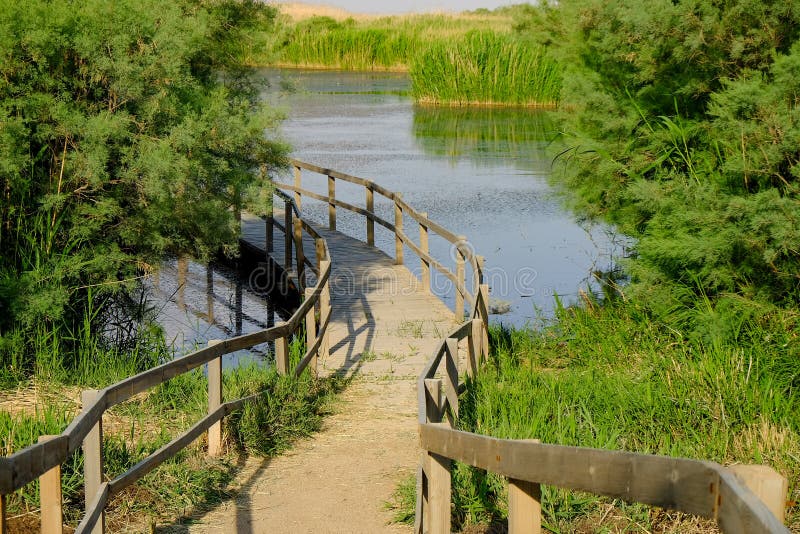 Scenery of the Azraq Wetlands Reserve in the Town of Azraq in the ...