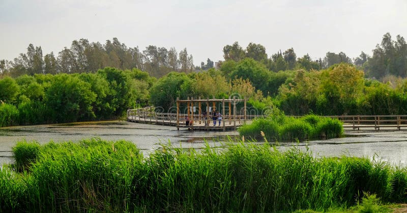 Scenery of the Azraq Wetlands Reserve in the Town of Azraq in the ...