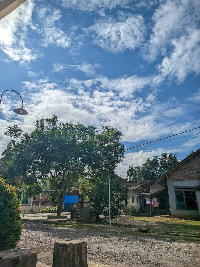 Scenery, Blue Sky, White Clouds, Trees, Nature and Cool Stock Image - Image of white, nature ...