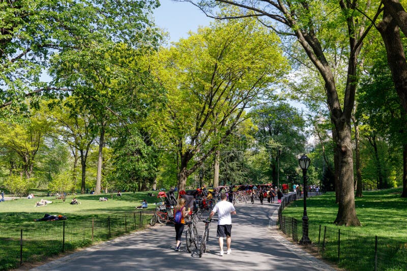 Scenery of Central Park at Spring in NYC Editorial Photography - Image ...