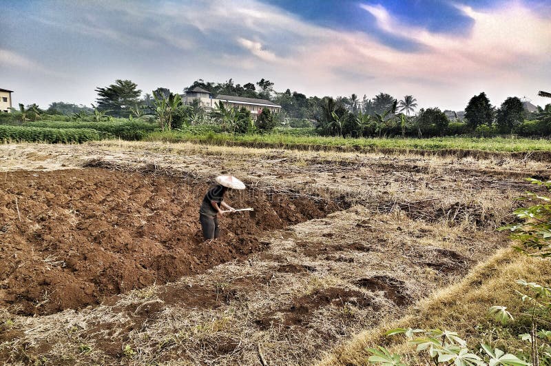 The Scenery is Cool, the Rice Fields and Farmers are Digging Stock ...