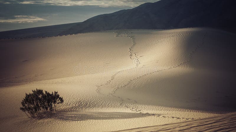 Scenery of a Deserted Ground of Sand at the Rock Formation in the ...