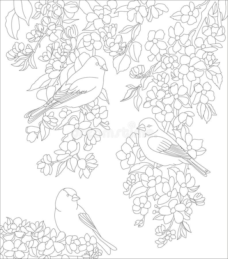 Partition Tree Patterns Stock Illustrations – 117 Partition Tree ... Partition Tree Patterns Stock Illustrations – 117 Partition Tree ...