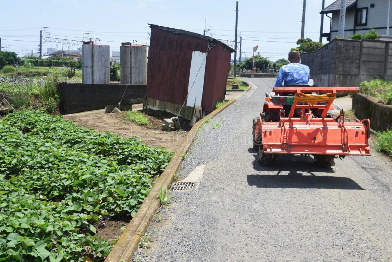 The Scenery of the Farm Work. Stock Image - Image of business ...