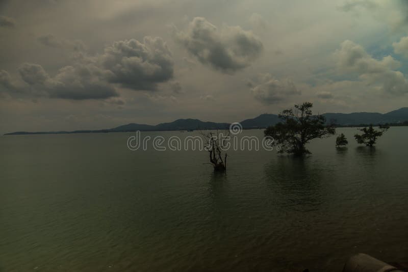 Scenery of Fog Taking Over the Ocean Creating a Nice Breezy Weather ...