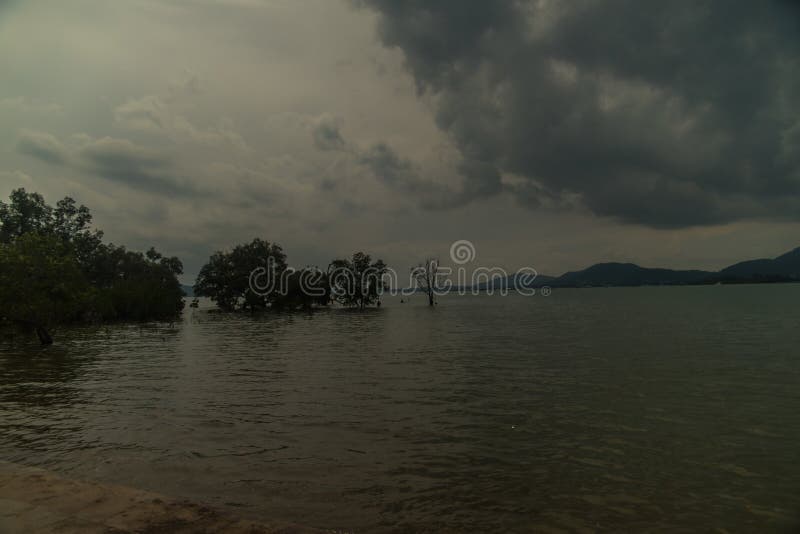 Scenery of Fog Taking Over the Ocean Creating a Nice Breezy Weather ...