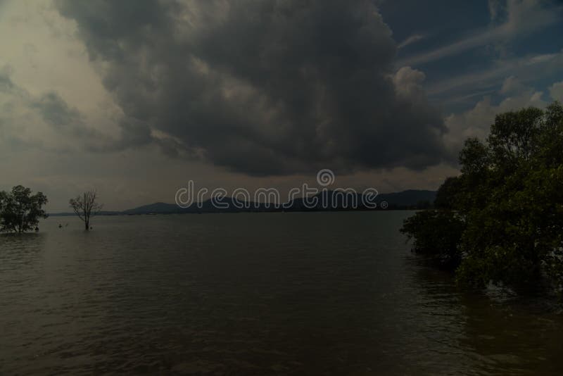 Scenery of Fog Taking Over the Ocean Creating a Nice Breezy Weather ...