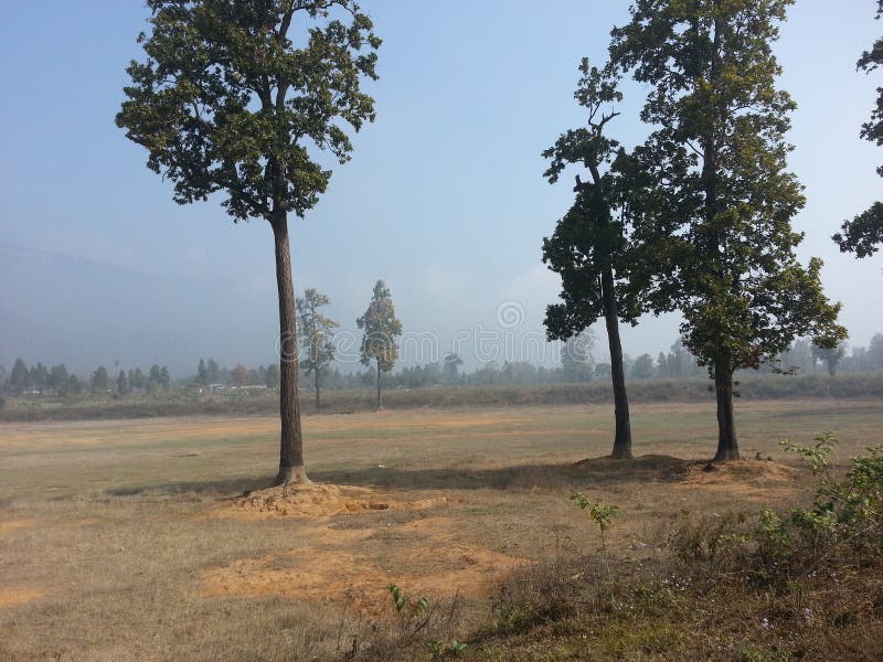 Greenert Environment Stock Photos - Free & Royalty-Free Stock Photos ...