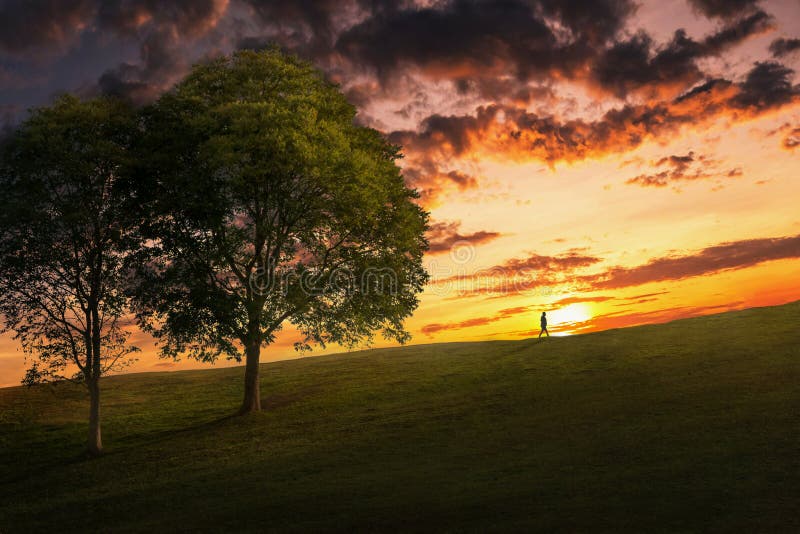 I Feel Alone, Multicolored Help Message with Sea Stones Over White Sand ...