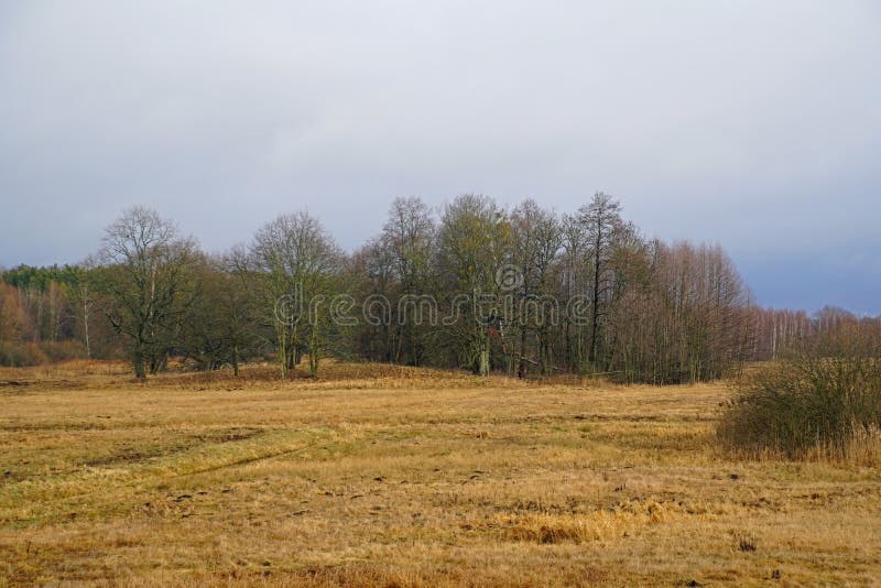 Scenery. Horizontal Shot. the Beginning of Spring. March. Copses and ...