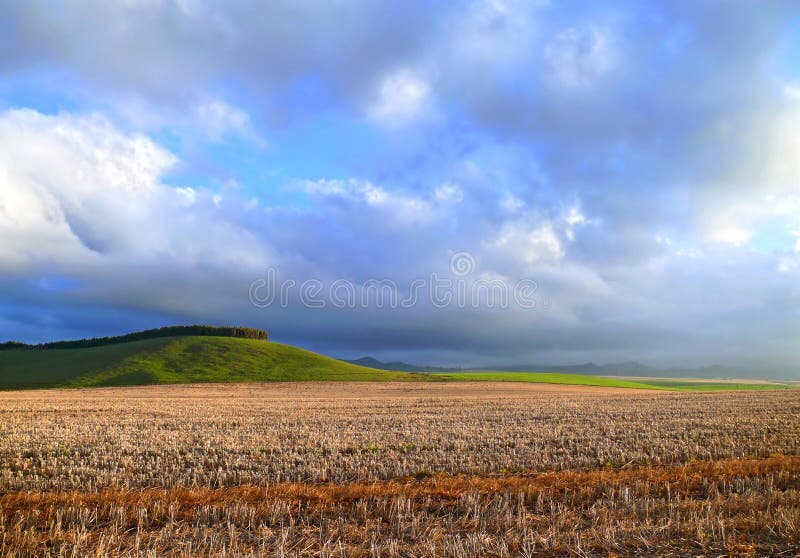 The Scenery. the Intersection of the Equator Stock Photo - Image of ...