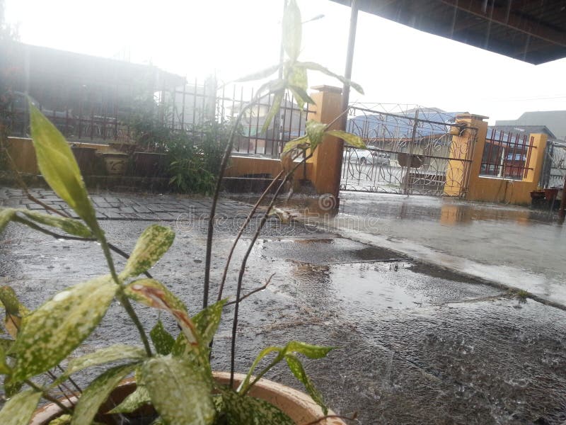 The Scenery that Just Rained. Stock Image - Image of scenery, rained ...