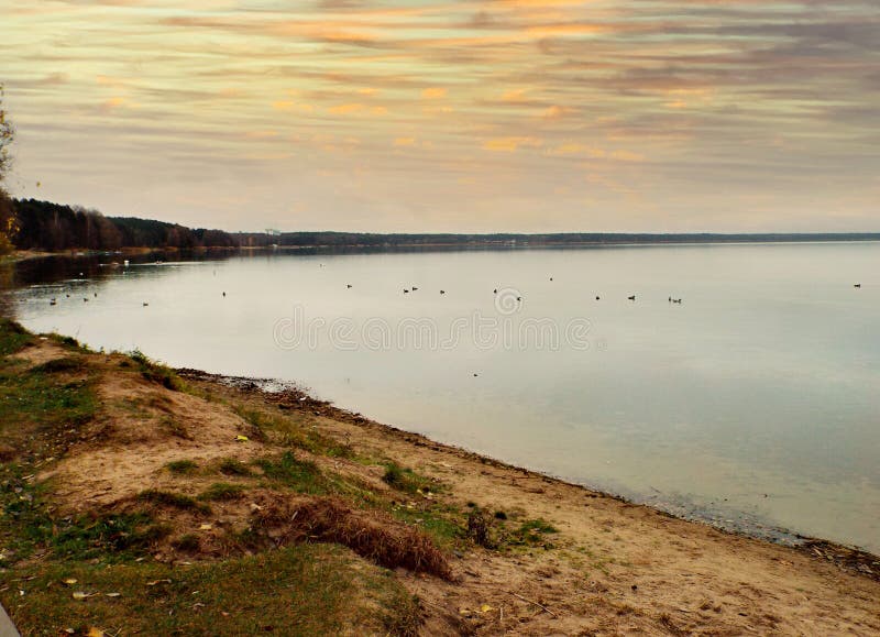 Scenery. Lake with Beautiful Sunset Sky and Flying Birds Stock Image ...