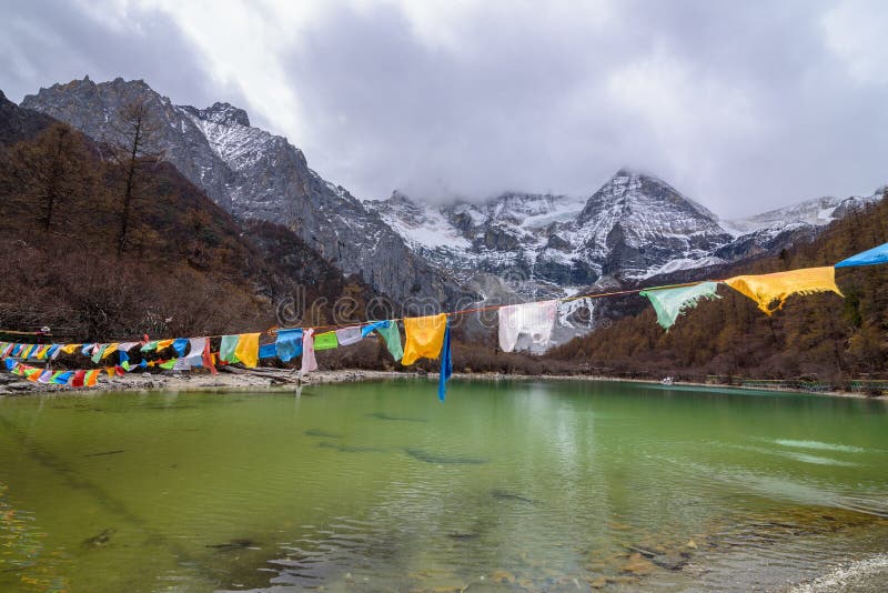 Scenery of Lake in Yading, Sichuan. Stock Photo - Image of milk, forest ...
