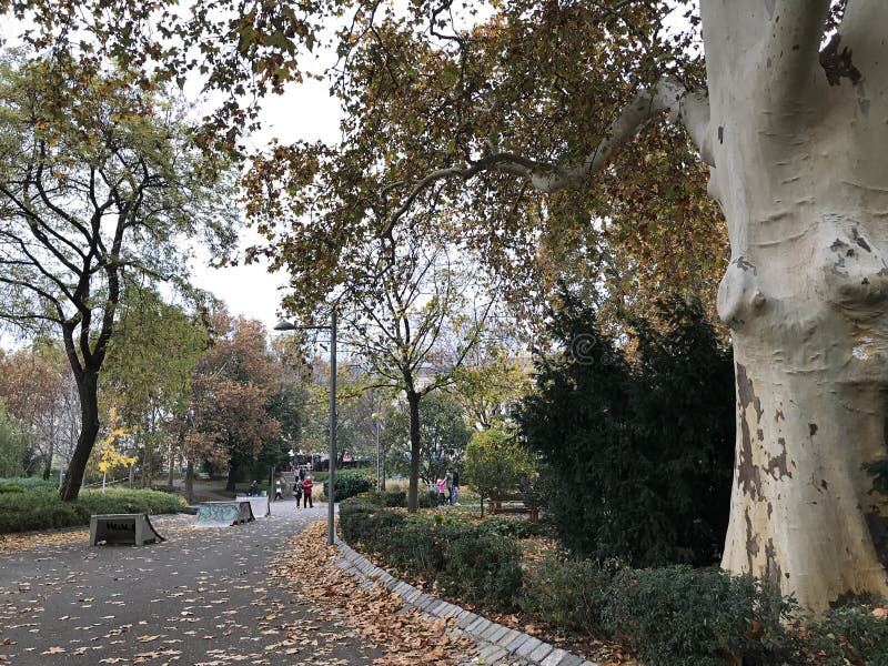Scenery and Landscape of Resselpark in Vienna, Austria. Stock Image ...
