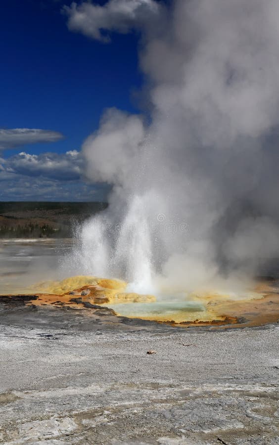 The Scenery Of Lower Geyser Basin In Yellowstone Stock Image - Image of ...