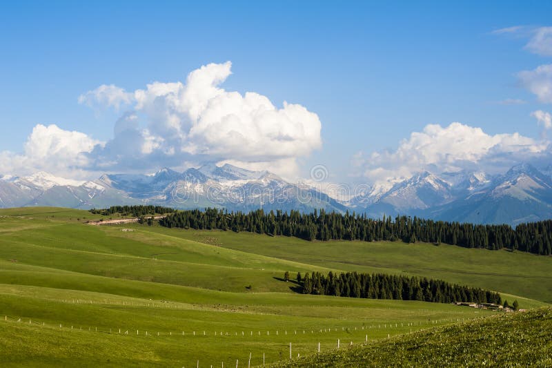 Scenery of the meadow stock image. Image of scene, field - 35632903