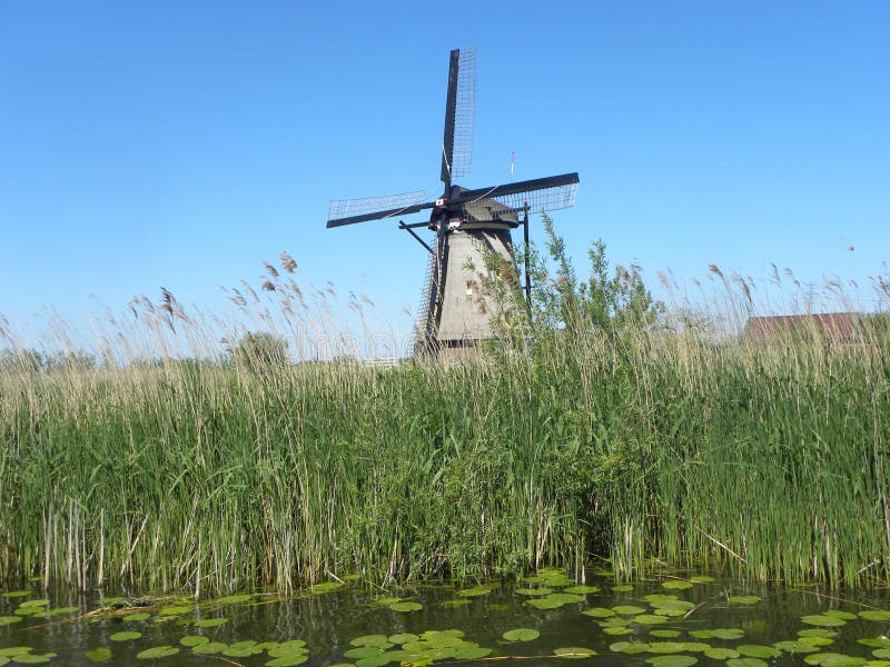 Scenery of a Mill on a Blue Clear Sky Background Stock Image - Image of ...
