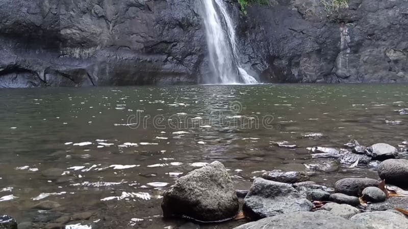 Scenery of a Narrow Rocky Waterfall in the Daylight Stock Video - Video ...