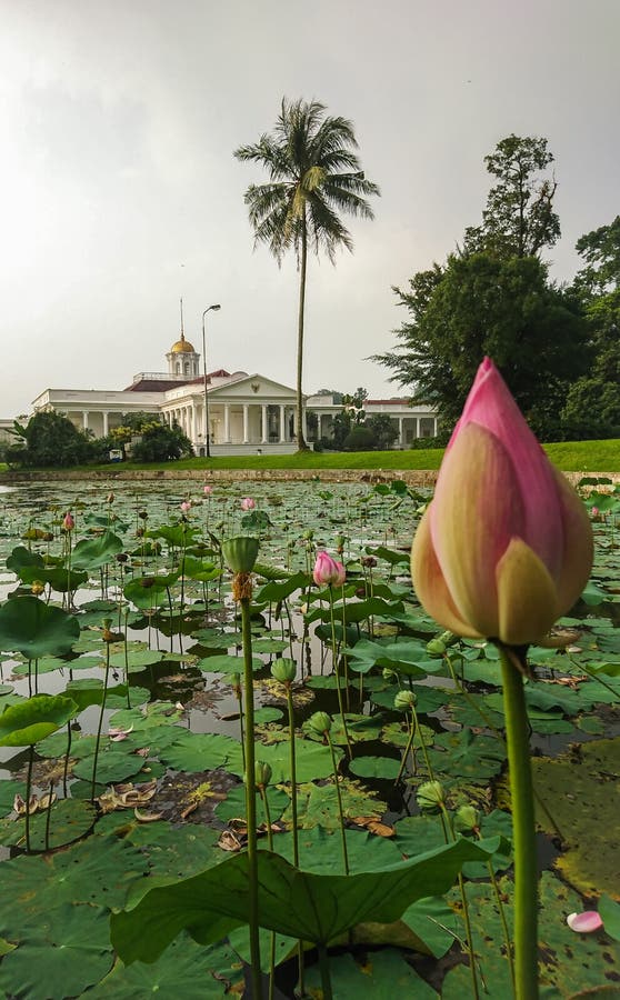 Scenery of National Palace at Bogor, West Java, Indonesia Stock Image ...