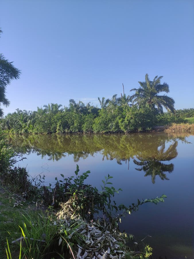 Scenery stock photo. Image of scenery, perak, kurau - 279076298