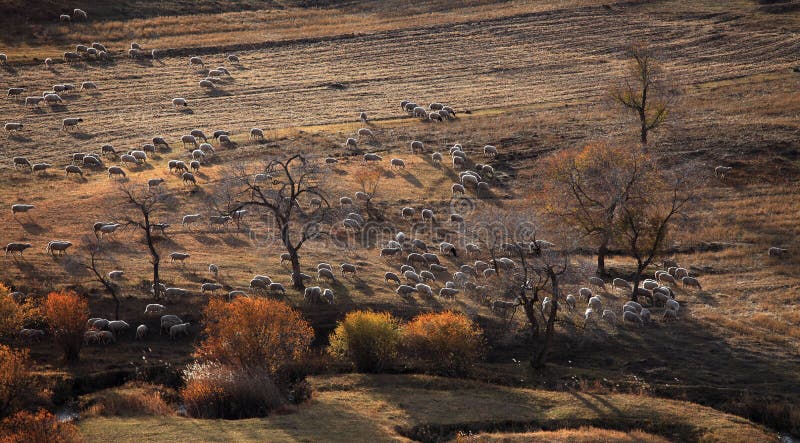 Scenery of Northern China stock photo. Image of view - 27773196