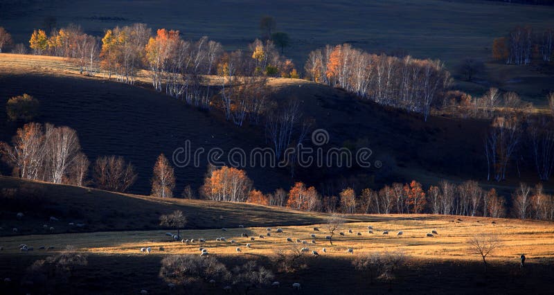 Scenery of Northern China stock image. Image of field - 27773371