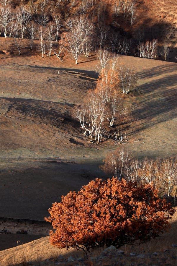 Scenery of Northern China stock image. Image of bashang - 27777997