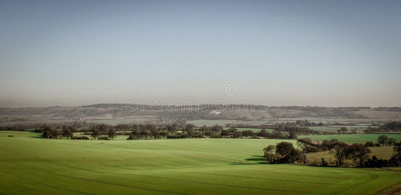 Scenery of an Open Field Covered in Grass and Trees Captured during the ...