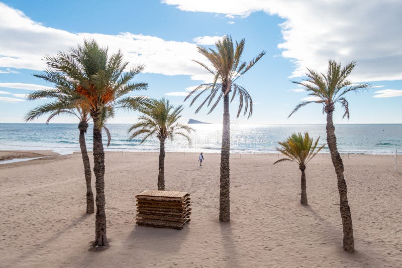 Scenery with Palm Trees on Poniente Beach in Benidorm, Spain Stock ...
