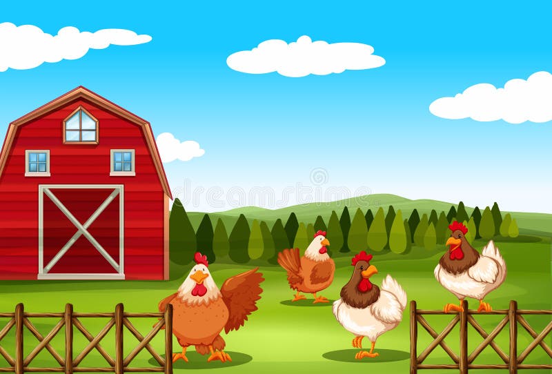 Cartoon Barn Chickens Stock Illustrations – 193 Cartoon Barn Chickens ...