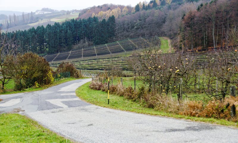 Scenery with Road and Fruit Trees without Leaves and Some Apples Here ...