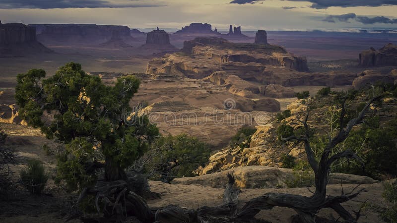 Scenery of Rock Formations and Different Kinds of Plants at the Canyon ...
