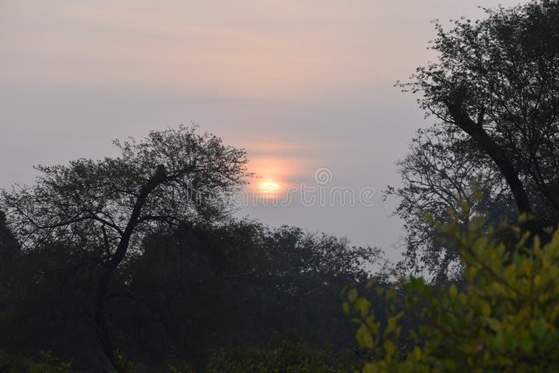 This is an Scenery or Scenic View of Beautiful Sunrise Scenario Stock ...