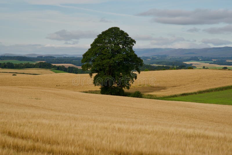 Scenery of Scotland in England Stock Photo - Image of rocky, quiraing ...