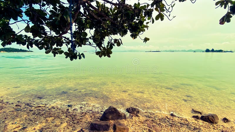 Scenery of the Sea Under the Shadow of the Leaves Stock Photo - Image ...